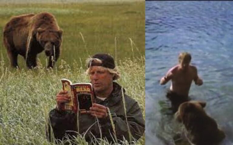 Timothy Treadwell, el hombre que fue devorado vivo por un oso; su ...