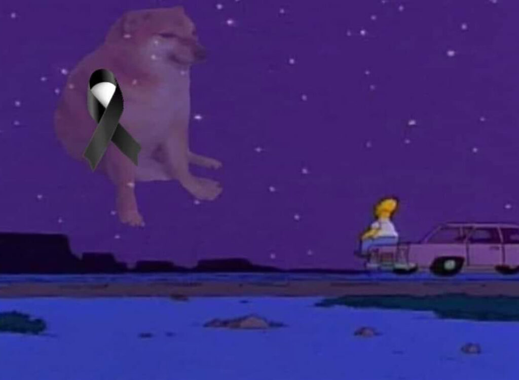 ¡Vuela alto Cheems! Fallece el famoso perrito de los memes