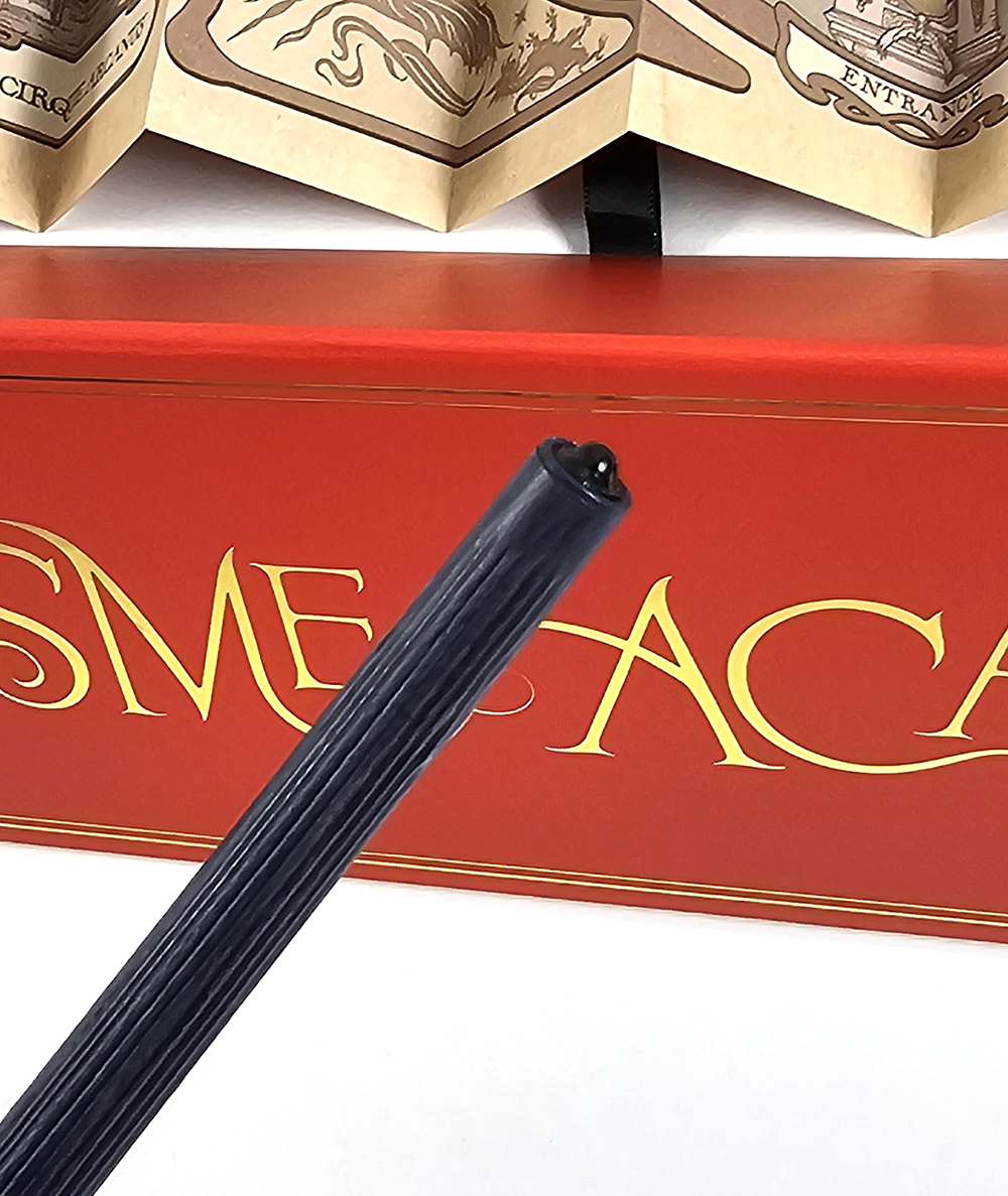 Wizarding World of Harry Potter Universal’s Epic Universe Cosme Acajor ...