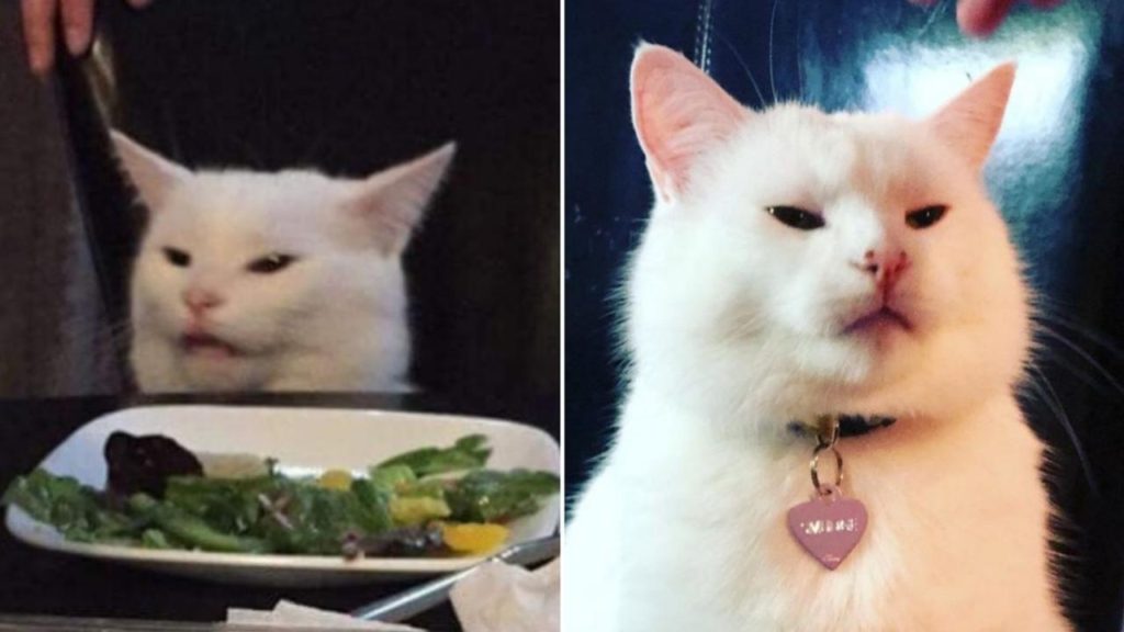 "Me dijiste que" la historia de cómo nació este meme