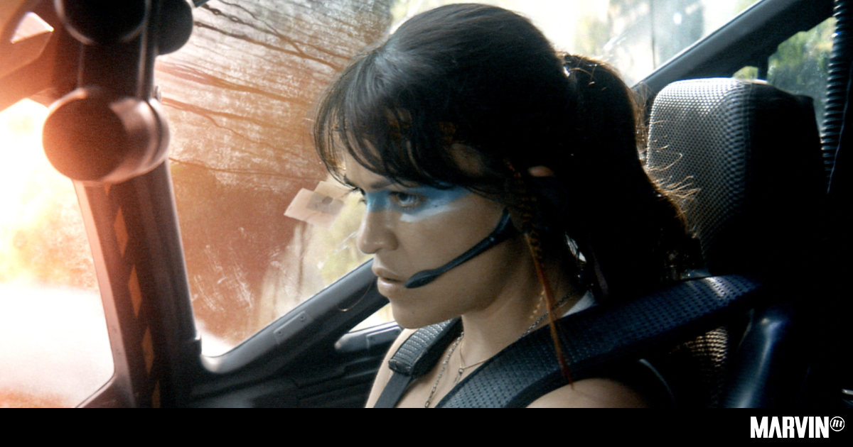 Michelle Rodriguez Avatar Pintura De Guerra