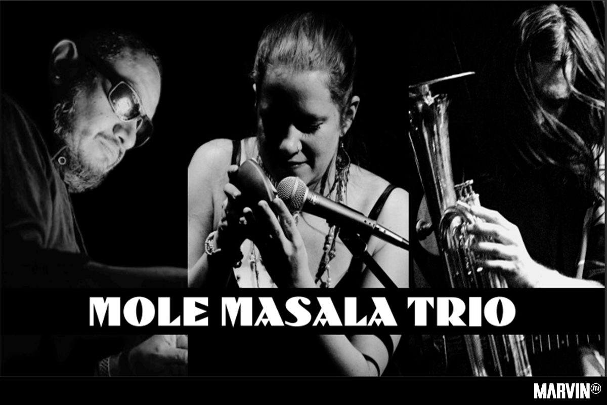 Mole Masala Trio en el Vicio - Revista Marvin