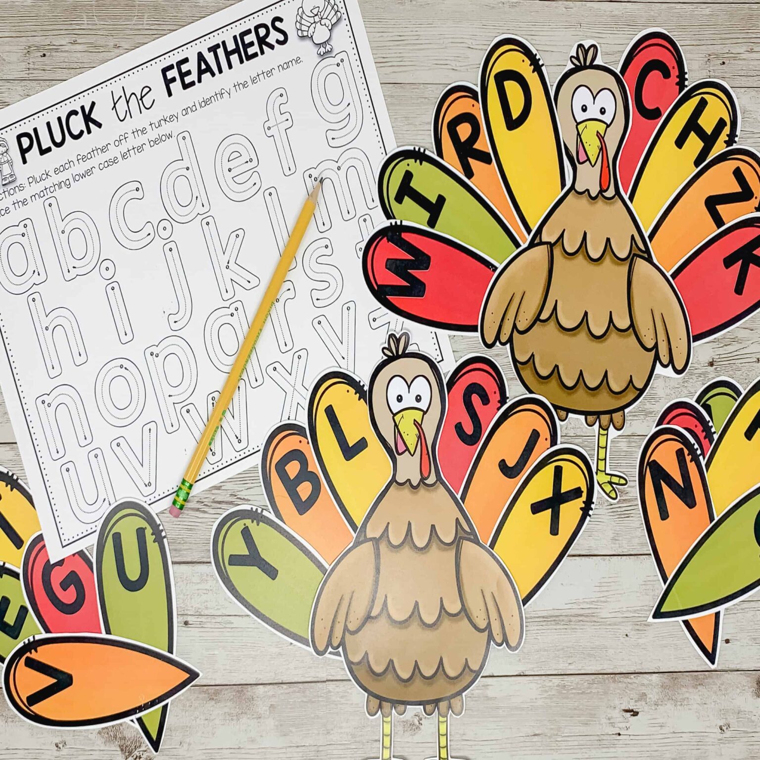 Fun Thanksgiving Activities for Kids: How to Craft a Turkey