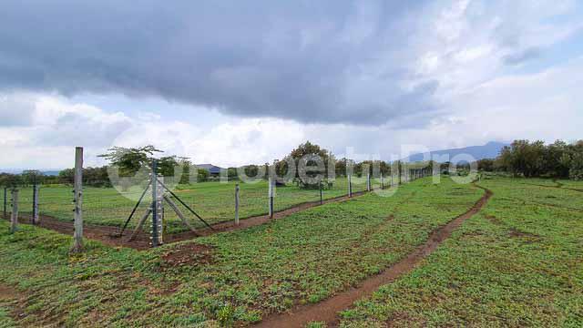 Land for sale Kedong Ranch, Naivasha East Nakuru (PID: 3AXZD ...