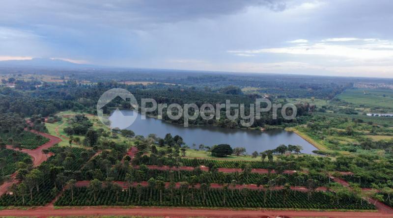 Land for sale Ruiru Ruiru Kiambu (PID: 2AMWZ) | PropertyPro Kenya
