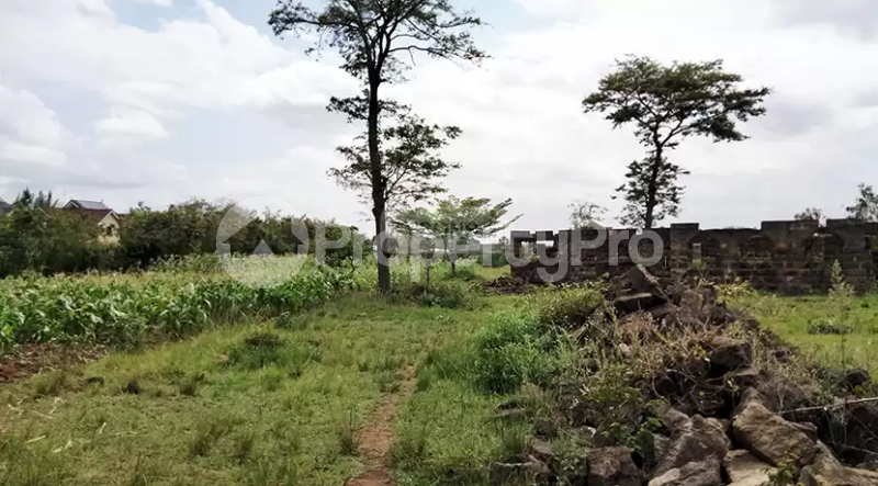 Land for sale Ruiru Kiambu (PID: 4BBDE) | PropertyPro Kenya