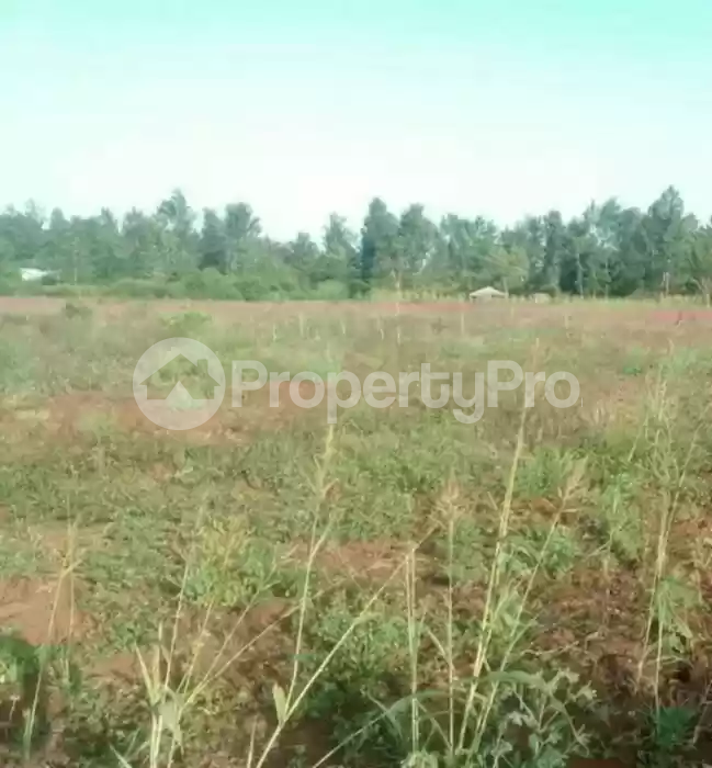 Land for sale Rumuruti, Laikipia Laikipia (PID: 8AYYU) | PropertyPro Kenya