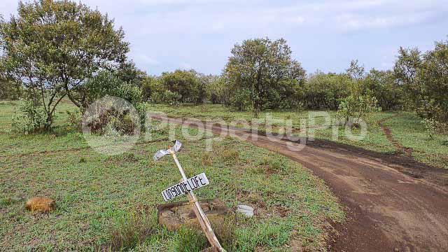 Land for sale Kedong Ranch, Naivasha East Nakuru (PID: 4AXZD ...