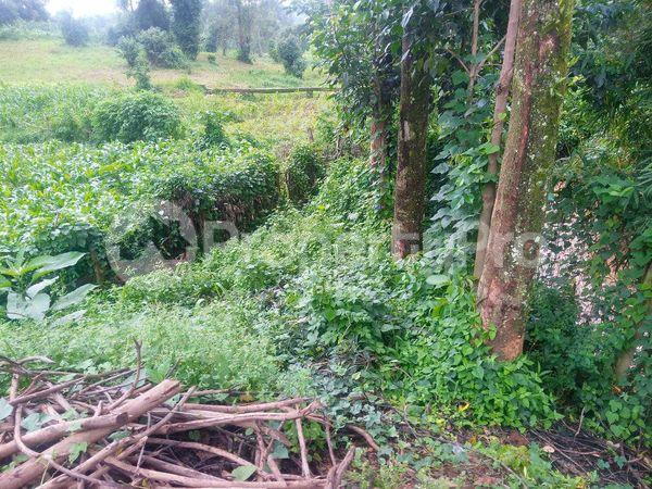 Land for sale KISII TOWN Bonchari Kisii (PID: 7AKMP) | PropertyPro Kenya
