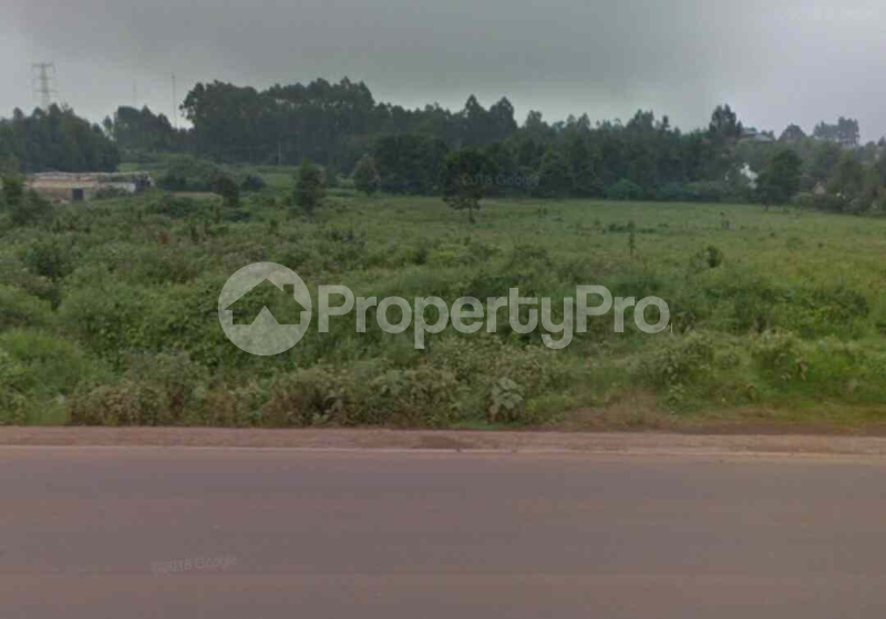 Land for rent Tigoni Limuru (PID: 0BCSZ) | PropertyPro Kenya