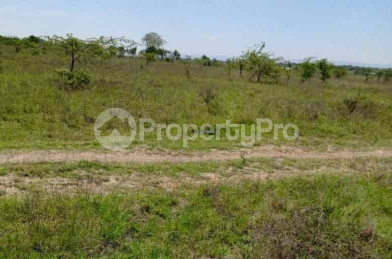 Land for sale Kangundo Road Kangundo (PID: 2BDNY) | PropertyPro Kenya