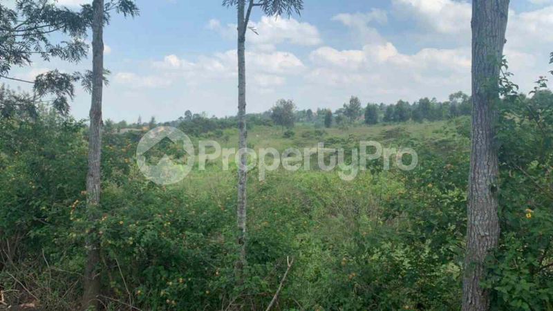 Land for sale Ongata Rongai Kajiado (PID: 5BCPD) | PropertyPro Kenya