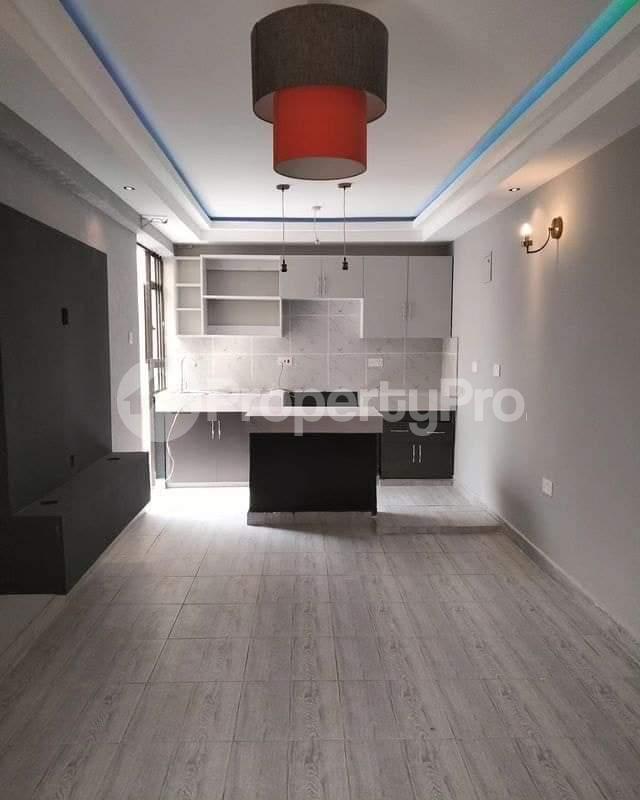 1 bedroom mini flat Bedsitter Flat&Apartment for rent Thome Marurui ...