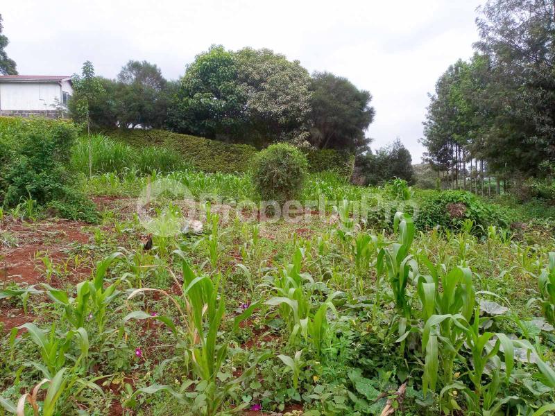 Land for sale Kikuyu Town, Wangige Kikuyu (PID: 7AXRJ) | PropertyPro Kenya