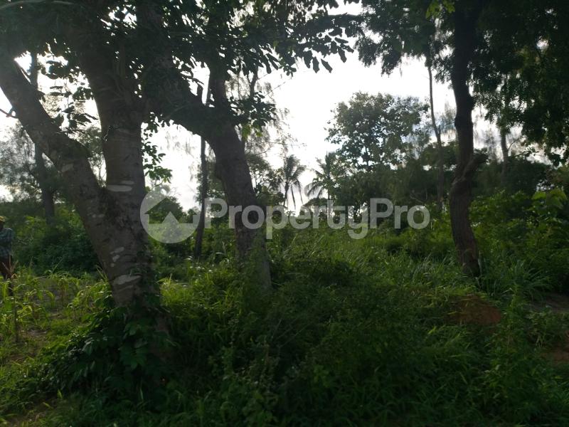 Land for sale Matuga Matuga Kwale (PID: 3AGVG) | PropertyPro Kenya