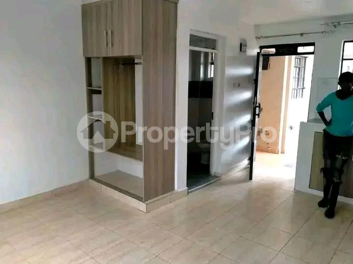 1 bedroom mini flat Bedsitter Flat&Apartment for rent SEC 9, Kabati ...