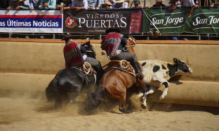 ATENCIÓN CORRALEROS: Definido programa del 75° Campeonato Nacional de ...