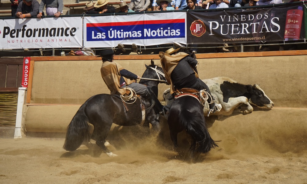 Hoy se corre el Champion de Chile