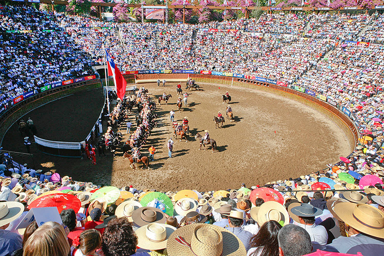Champion de Chile: Seremi de Salud refuerza temáticas preventivas con ...