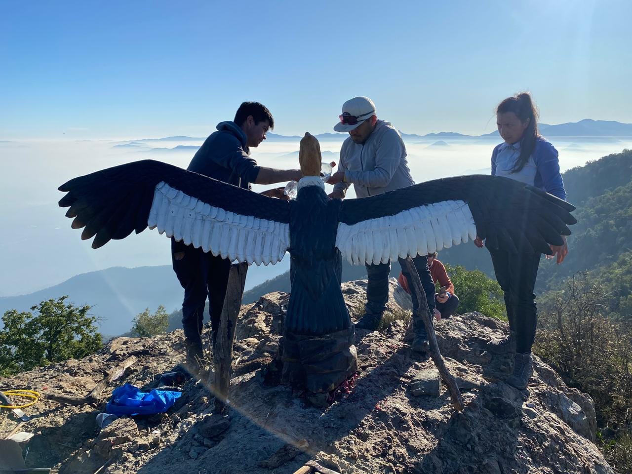 Instalan escultura de Cóndor Andino a tamaño real en cerro de Requínoa ...