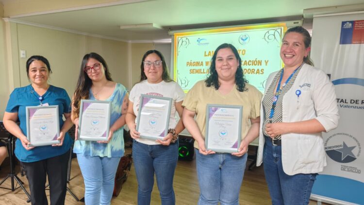 Hospital de Rengo presenta nueva plataforma web dedicada a la ...