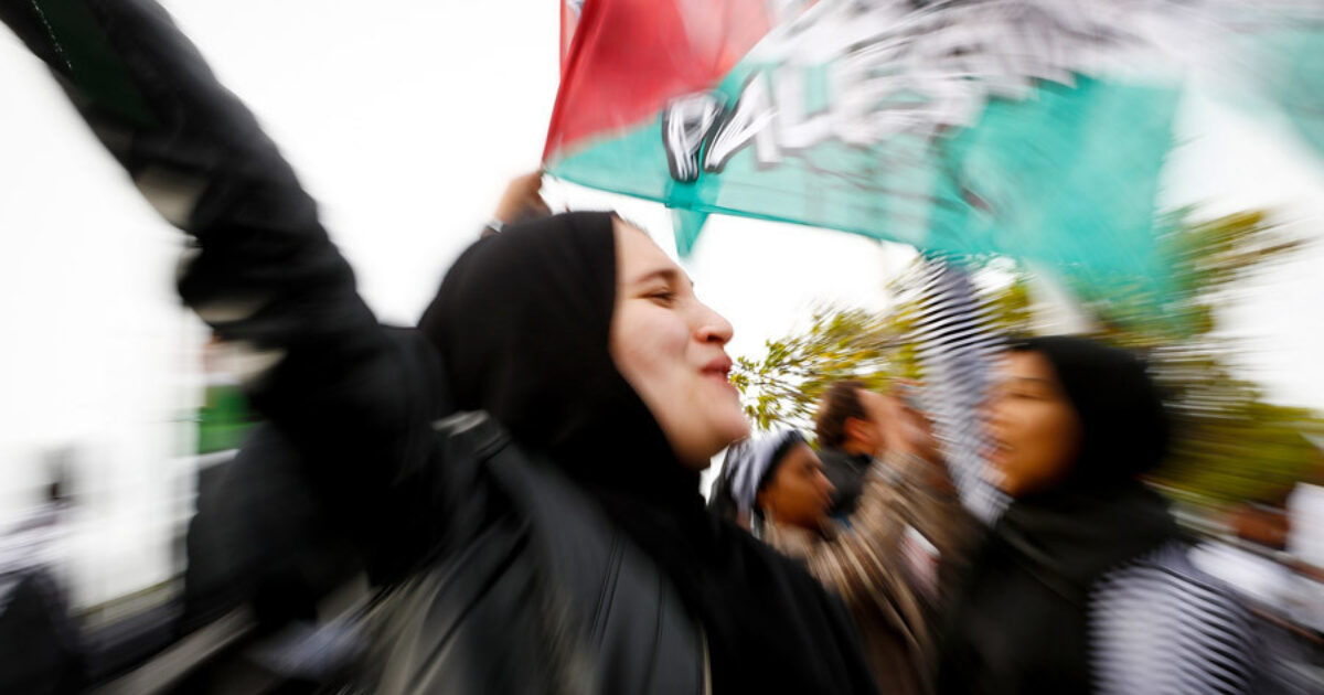 Israel’s Scheme To Defund the BDS Movement - In These Times