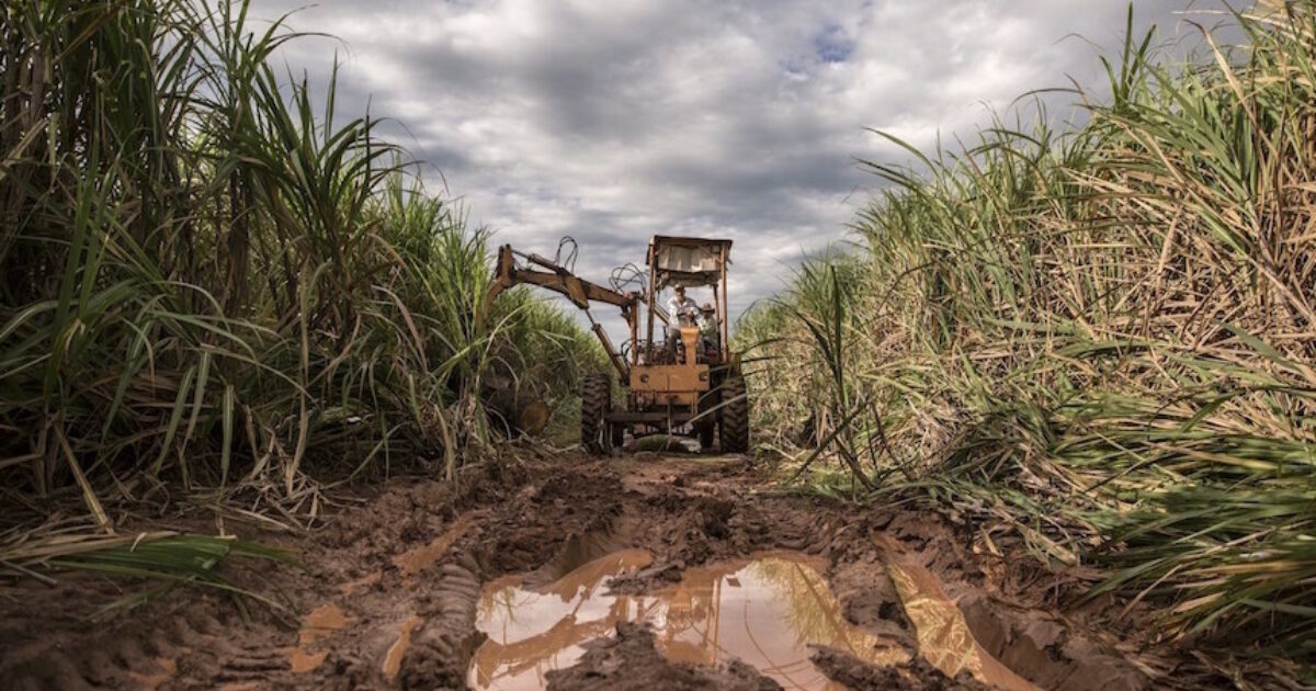 Sowing Insecurity: Food and Agriculture in a Time of Climate Crisis ...