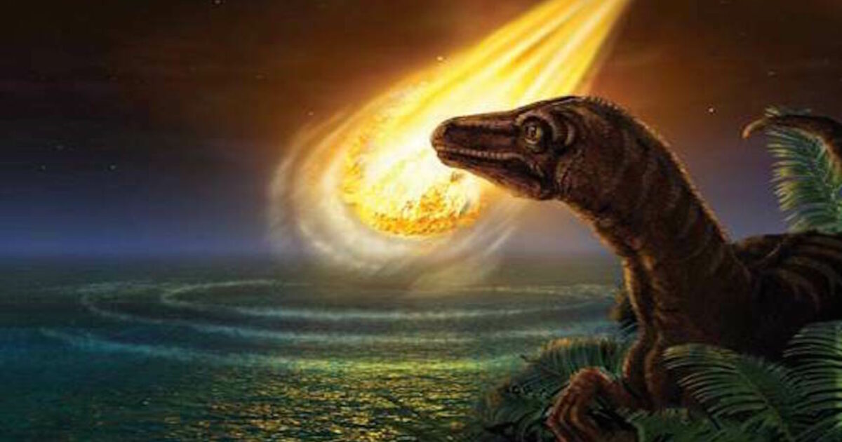 Our Planet is Facing a New Mass Extinction: Can This Book Help Stop It ...