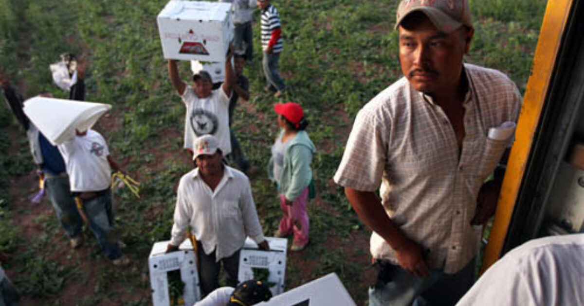 Cesar Chavez, and the State of the Farm Workers Movement - In These Times