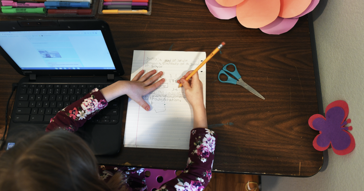 10 Ways Remote Learning Is Failing Our Students - In These Times