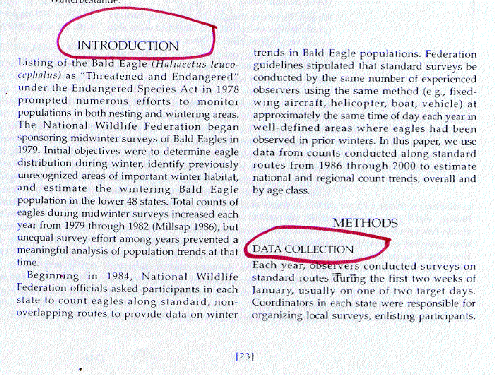  Example Of Introduction In Research Paper Qualitative Research 