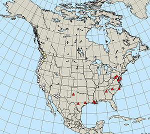 Journey North Hummingbird Migration Spring 2009