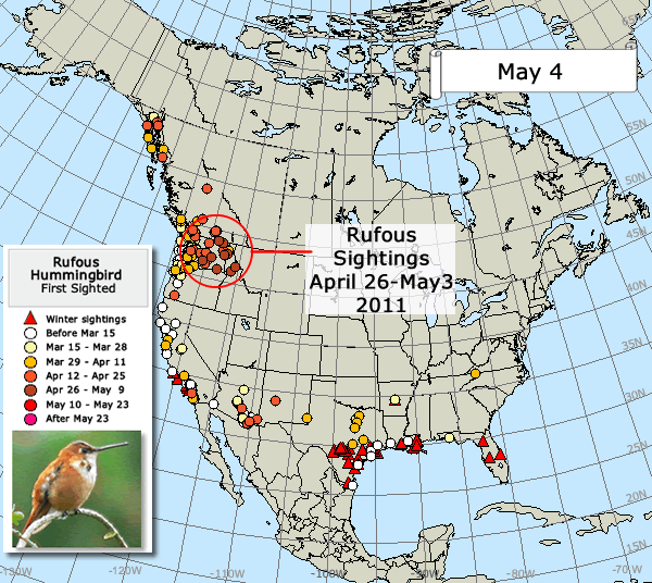 Journey North Hummingbird Migration Spring 2011