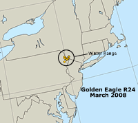 Journey North Bald Eagles