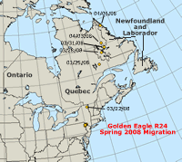 Journey North Bald Eagles