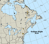 Journey North Bald Eagles