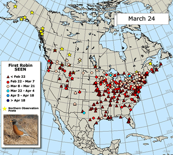 Robin Migration Map Questions: Spring 2008