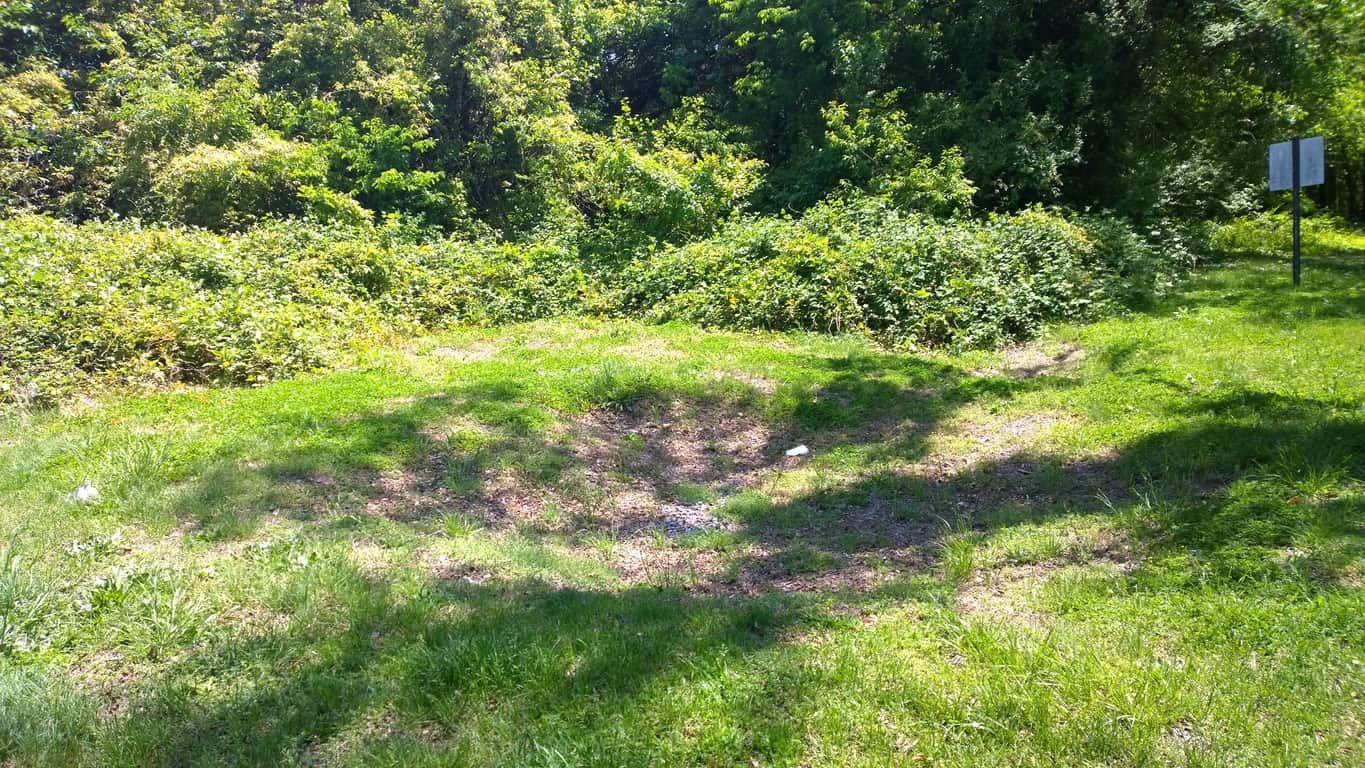 RVA Legends — Hey House - RVAHub