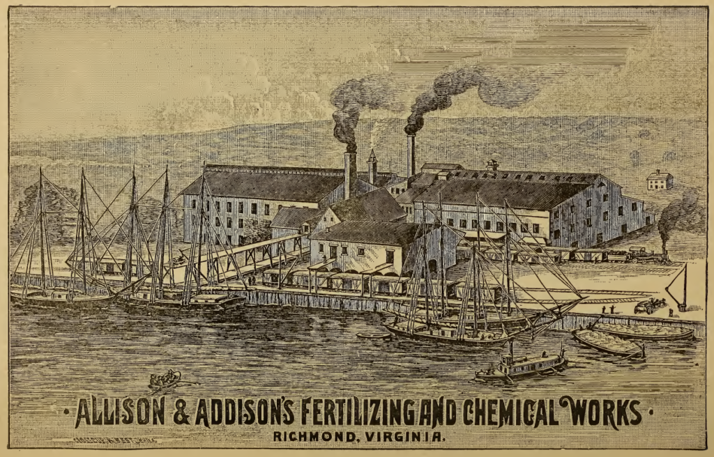 RVA Legends — Allison & Addison - RVAHub