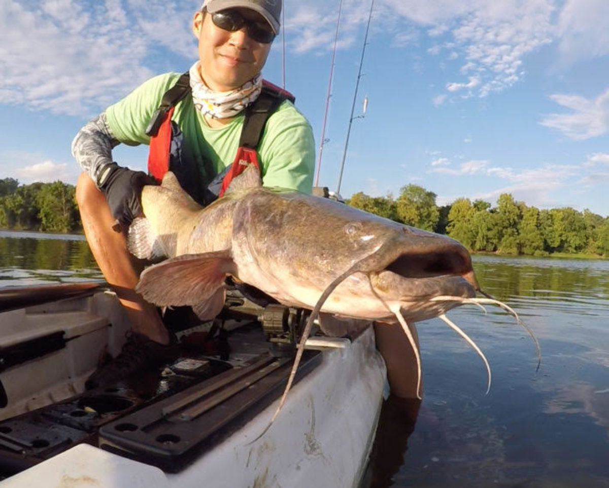 Dominion Energy Riverrock Announces New 'Monsters of the James' Fishing ...