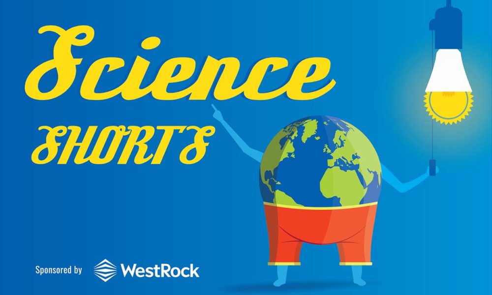 New Virtual Series “Science Shorts” at Science Museum of Virginia - RVAHub
