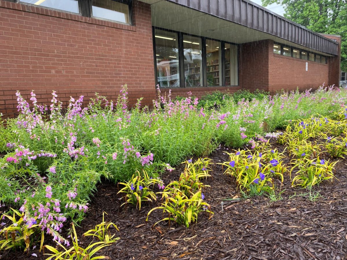 Richmond’s Ginter Park Branch Library is Going Green - RVAHub
