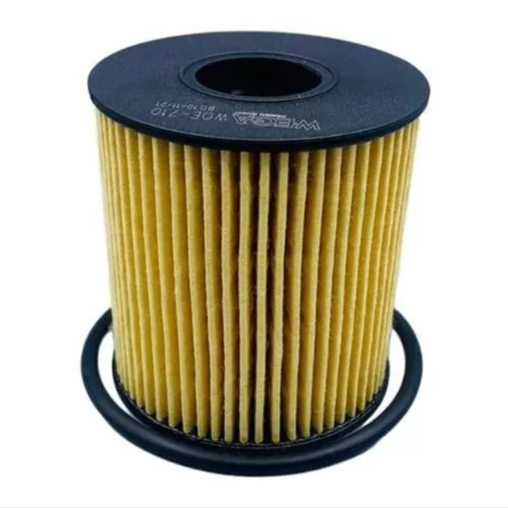 Filtro De Óleo Citroen C3, C4, C5, DS3, DS4, DSS, Xsara, AirCross ...