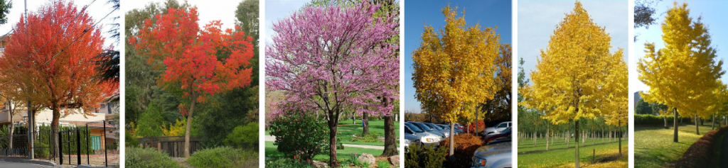 City of Marion, IN | Historic Euclid Neighborhood Association Gets ...