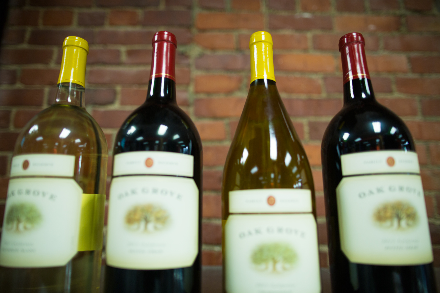 Marketo vs SharpSpring in Little Elm TX