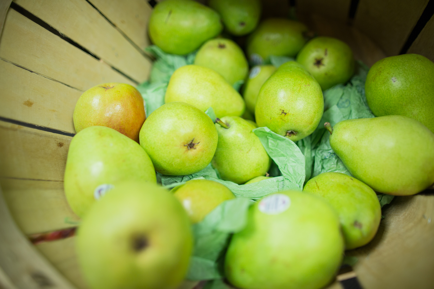 Marketo vs SharpSpring in South Salt Lake UT