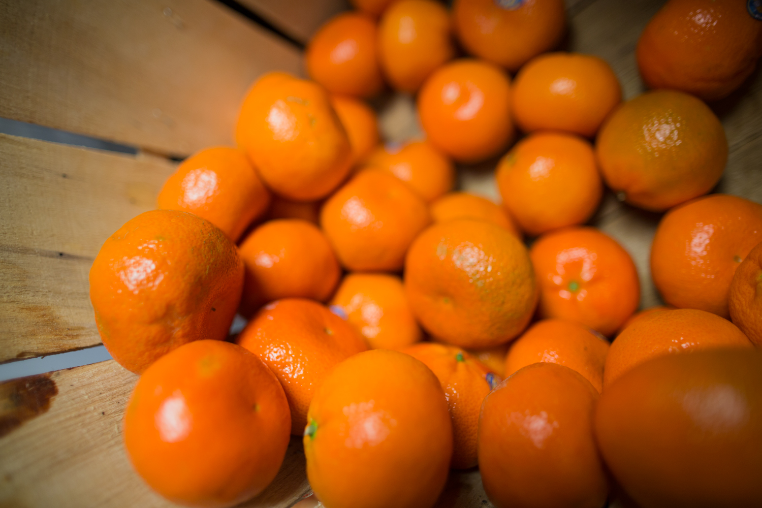 Marketo vs SharpSpring in Colleyville TX