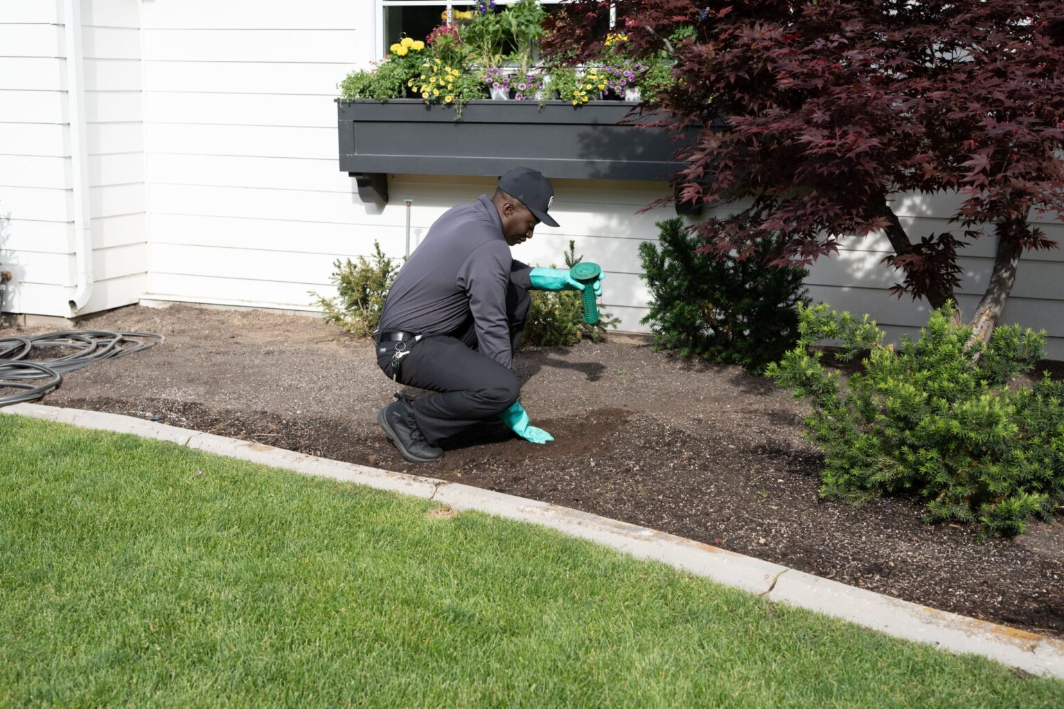 Rodents-BOF - Hawx Pest Control