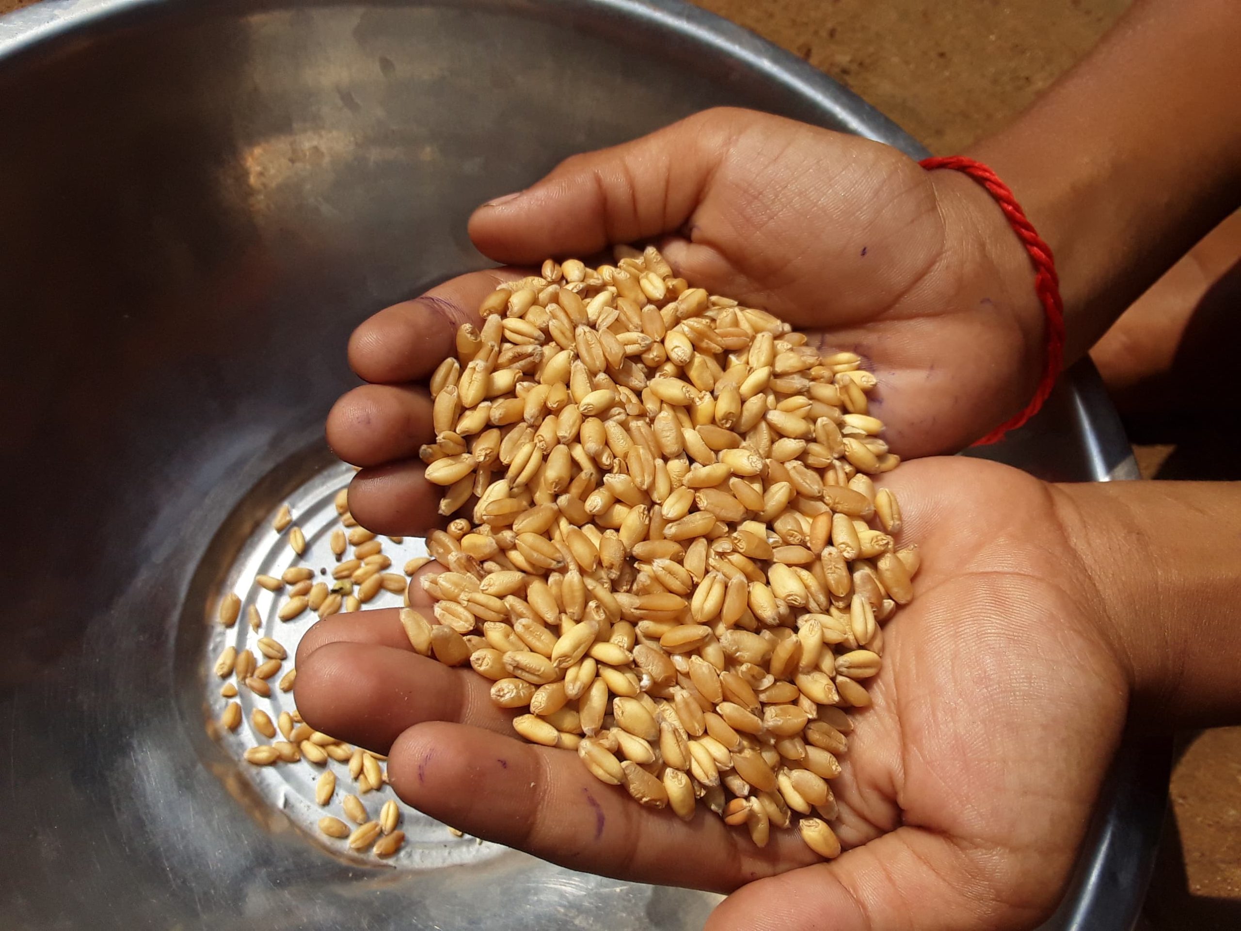 World told act now or face 136 years of hunger, report warns ...