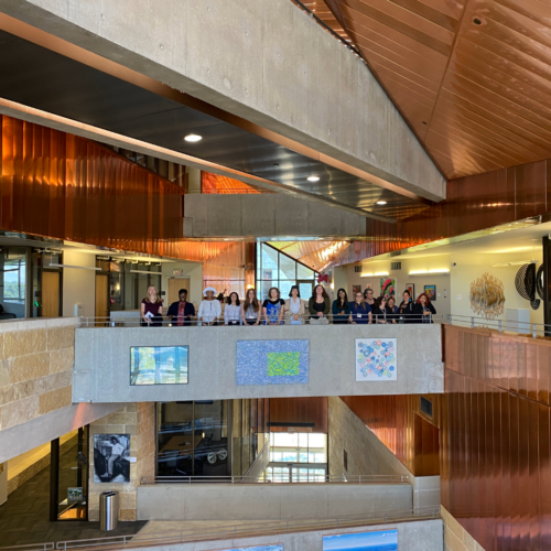 Local Government 101 - The Austin Common